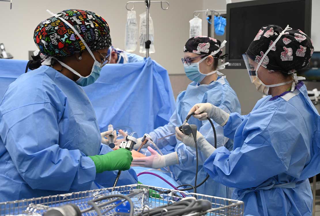 Comprehensive Weight Management Center - ECMC Hospital | Buffalo, NY